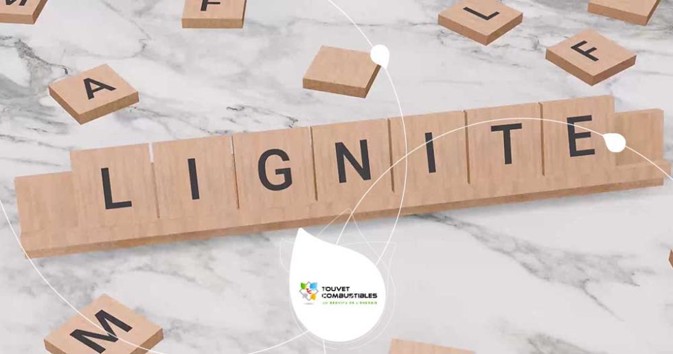 Le briquettes de lignite, idéales pour un feu durable